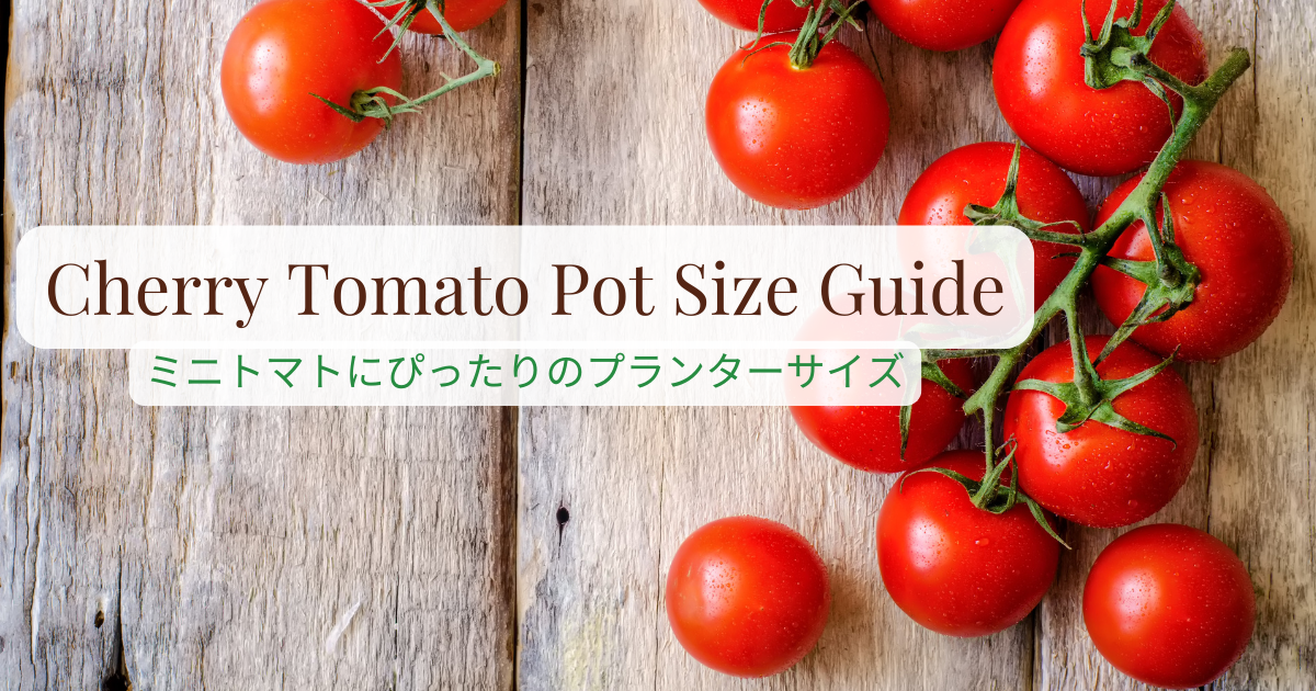 What Size Pot for Cherry Tomatoes? Learn the Best Pot Size and Growing ...