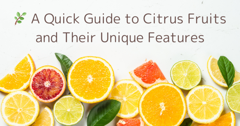 List of Citrus Fruits | Types and Characteristics Explained Simply | My ...